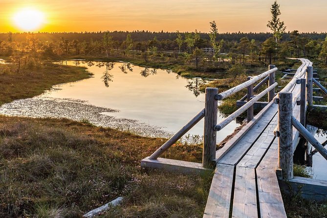 Sunrise Tour To Great Kemeri Bog - Key Points