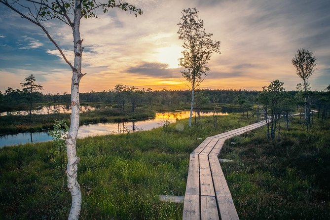 Sunrise Tour To Great Kemeri Bog - Final Thoughts