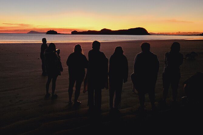 Sunrise with the kangaroos and wallabies - Final Thoughts