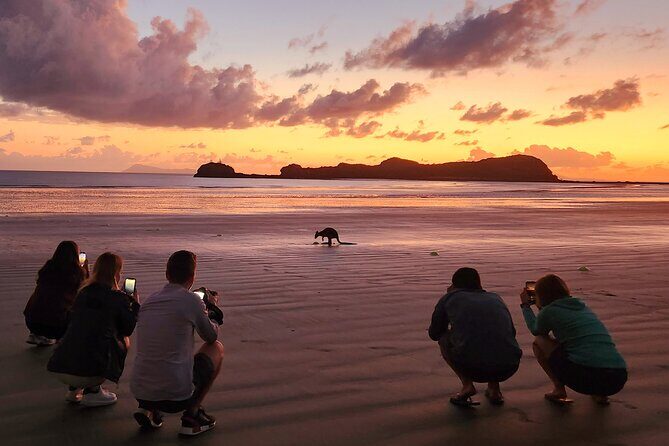 Sunrise with the kangaroos and wallabies - FAQ about Sunrise with the Kangaroos and Wallabies