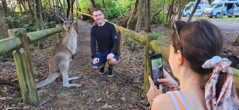 Sunrise with the Kangaroos & Wallabies - Airlie Beach - Who Should Consider This Tour?