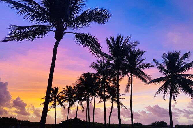 Sunrise Yoga and Meditation by the Ocean in Miami Beach - Who Will Love This Tour?