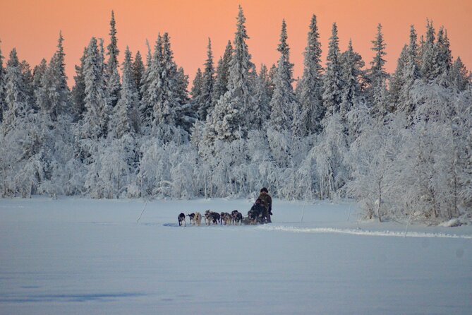 Sunrise Zen Husky Tour (10:00 to 13:00 - Sitting on the Sled) - Cancellation Policy