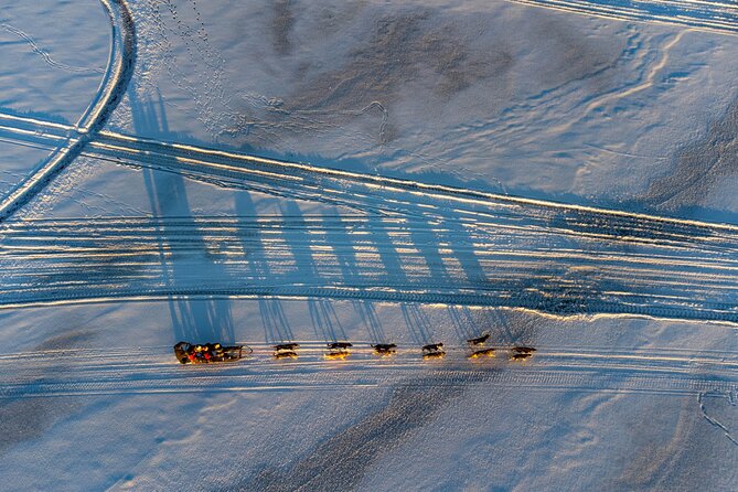 Sunrise Zen Husky Tour (10:00 to 13:00 - Sitting on the Sled) - Booking Your Sunrise Zen Husky Tour