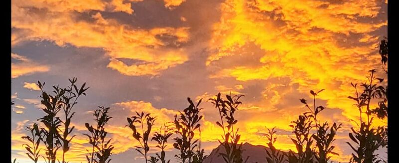 Sunset - Scenic Sunset Sidecar Tour in Nouvelle-Aquitaine: An Authentic Adventure