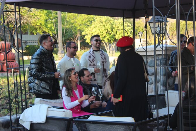 Sunset Alyan + 6 Wines + Individual Snack + Rustic Dinner - Accessibility and Participation