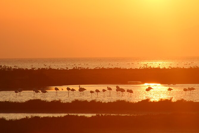 Sunset among flamingos in the Ebro Delta - Final Thoughts