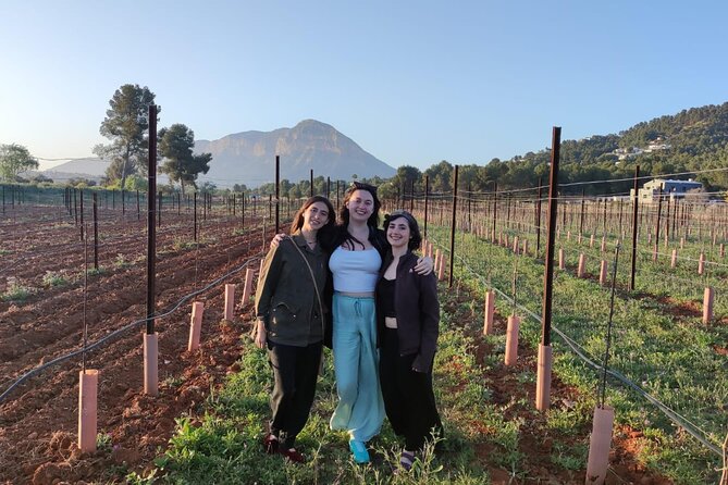 Sunset among Vineyards with Tasting in Alicante (min 6-12 people) - The Vineyard: Unique and Scenic