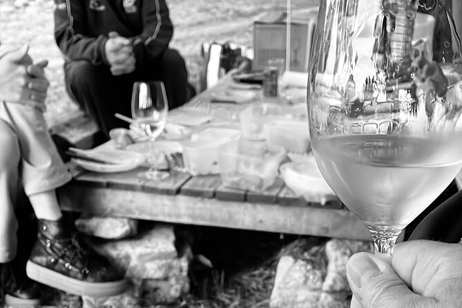 Sunset among Vineyards with Tasting in Alicante (min 6-12 people) - The Sum Up