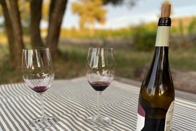 Sunset among Vineyards with Tasting in Alicante (min 6-12 people) - FAQ