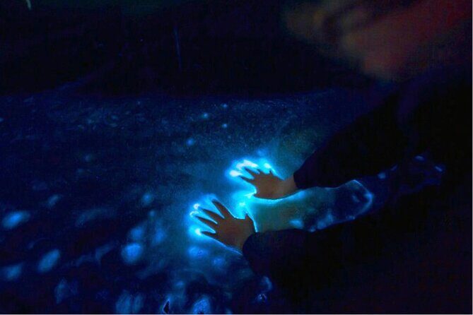 Sunset and Bioluminescence Boat Tour at Los Arcos Islands - Why This Tour Is Worth It