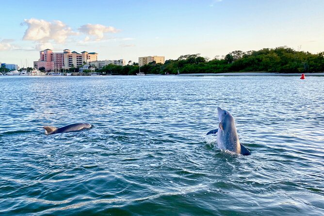 Sunset and Dolphin Cruise around Fort Myers Beach - The Experience on Board
