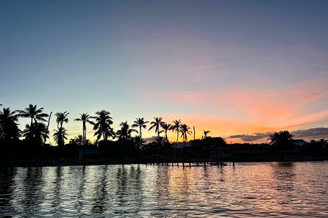 Sunset and Fireworks River Paddle Cruise - Introduction: A Clear View of Daytona’s Waterway Wonders