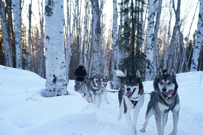 Sunset and Full Moon or Extended Ridge Top Mush - Pricing & Value