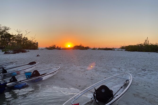 Sunset and Glow Clear Kayak Tour in North Naples - Safety and Accessibility
