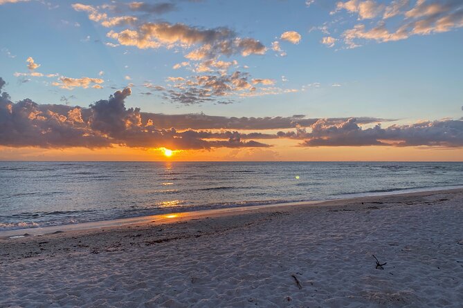 Sunset and Glow Clear Kayak Tour in North Naples - Exploring the Local Ecosystem