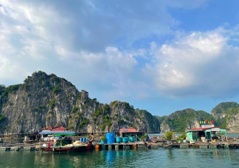 Sunset and Magical Bioluminescence plankton Night Kayak Tour - Frequently Asked Questions