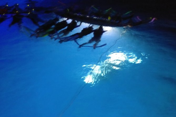 Sunset and Manta Ray Snorkel Adventure - What Makes This Tour Stand Out