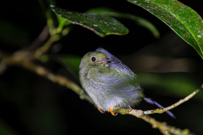 Sunset And Night Walk Guided Tour - Stunning Sunset Views