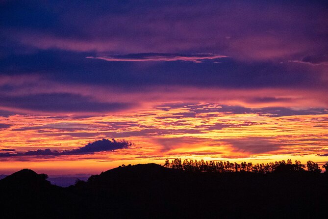 Sunset And Night Walk Guided Tour - Enchanting Night Discoveries