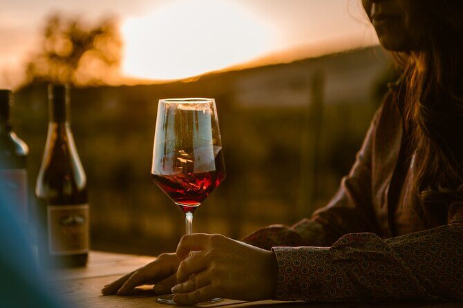 Sunset at the Vineyards Sidecar Wine Adventure Paso Robles - Key Points