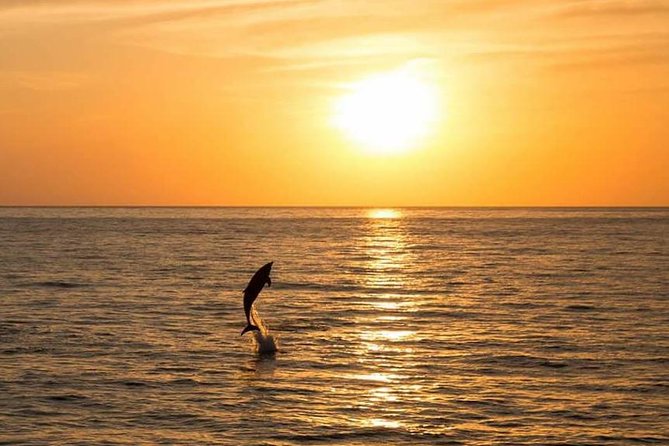 Sunset Beach Hopping Cruise, Cala Comte and Cala Bassa, SUP and Snorkelling - Transportation and Meeting Information