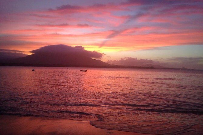 Sunset Beach Horseback Riding - The Horses and Guides