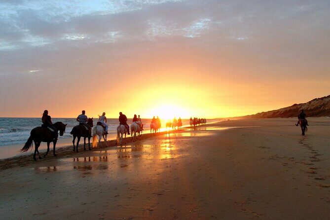Sunset Beach Horseback Riding - Authenticity and Value