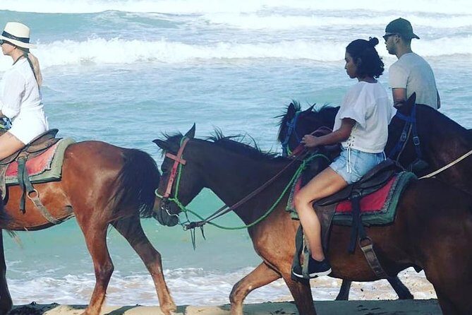 Sunset beach horsebackriding Punta Cana - Who Will Love This Tour?