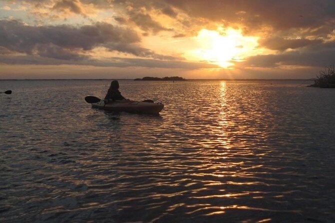 Sunset Bioluminescence Tour - Guided Kayak Tour