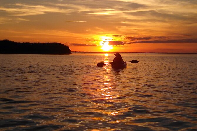 Sunset Bioluminescence Tour - Wildlife Spotting