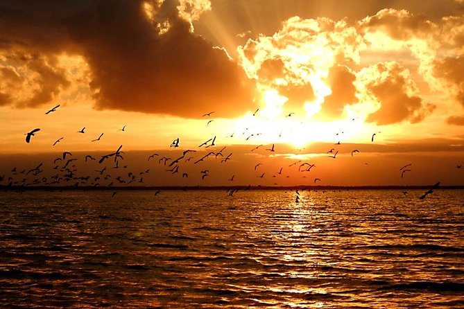 Sunset Bioluminescence Tour - Kayak Equipment and Safety