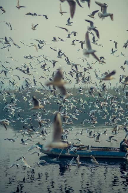 Sunset Boat Ride with Evening Aaarti ceremony varanasi - Observing the Rituals at the Ghats