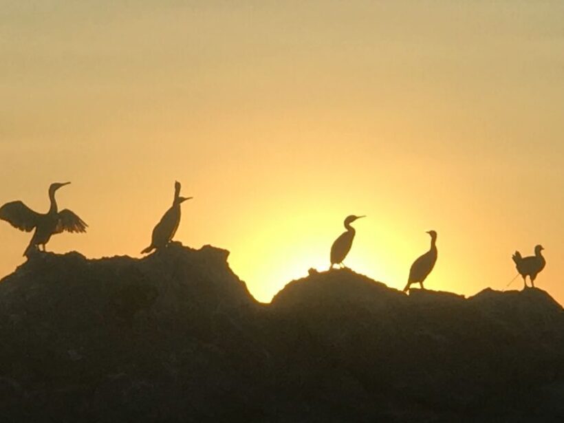 Sunset Boat Tour with Aperitivo & swim in natural park - Food, Wine, and Relaxation