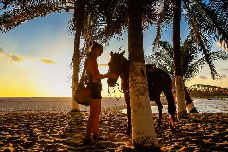 Sunset by Horse on the Beach - The Beach and Sunset