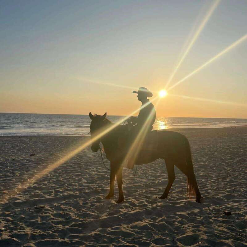 Sunset by Horse on the Beach - Cost and Value