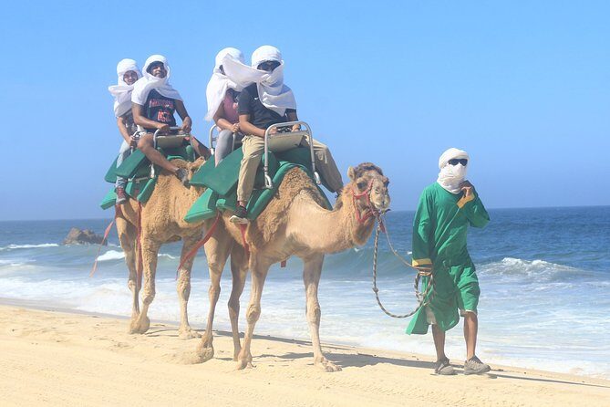 Sunset Camel Ride Tour - A Closer Look at the Sunset Camel Ride Tour