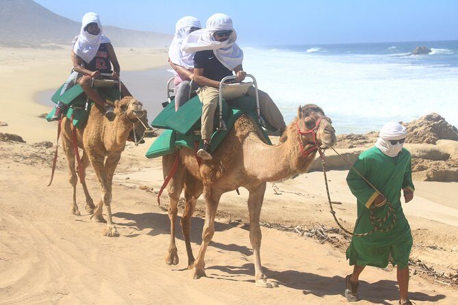 Sunset Camel Ride Tour - Frequently Asked Questions