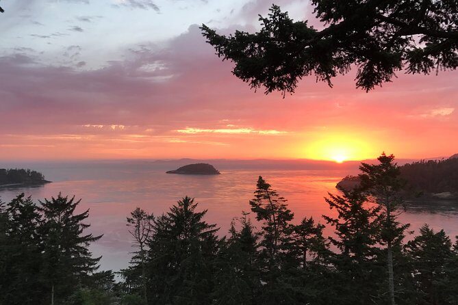 Sunset Canopy Climb on Lopez Island - Introduction