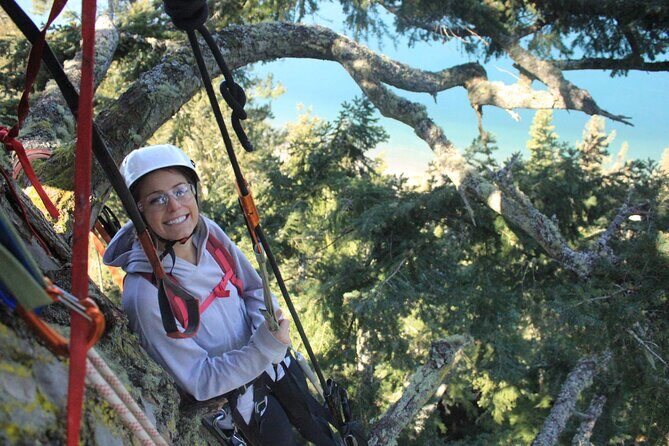 Sunset Canopy Climb on Lopez Island - Key Points