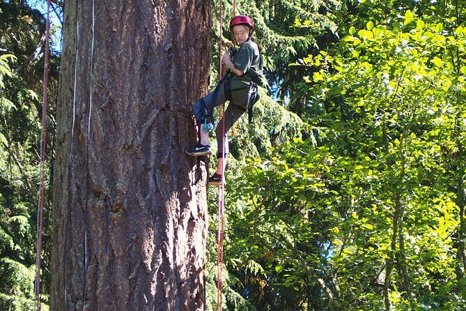 Sunset Canopy Climb on Lopez Island - Is It Worth the Price?