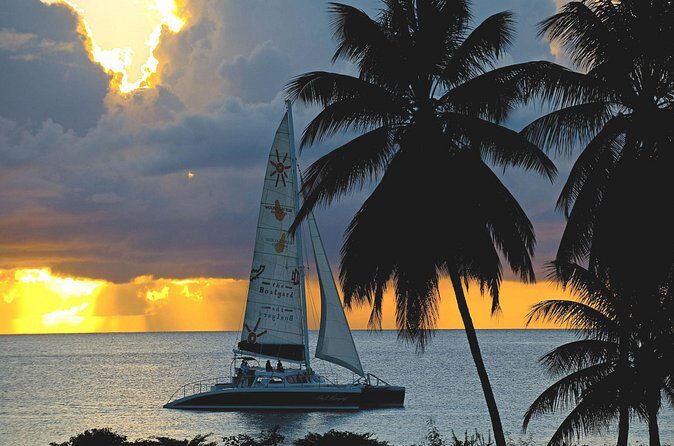 Sunset Catamaran and Snorkeling Cruise At Carlisle Bay - Who Will Love This Tour?
