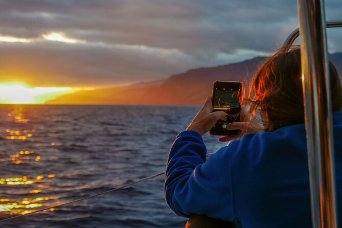 Sunset Catamaran Tour l Madeira Island - Key Points