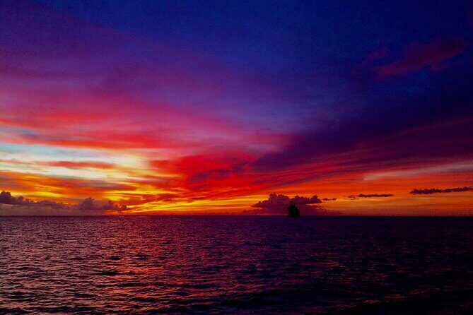 Sunset & Champagne Cruise on a Classic Schooner with boat dogs - The Itinerary Breakdown