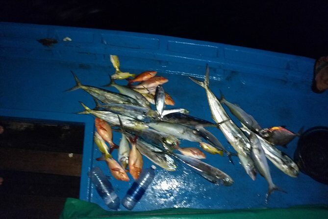 Sunset Cruise and Night Fishing in Huraa - A Detailed Look at the Sunset Cruise and Night Fishing in Huraa