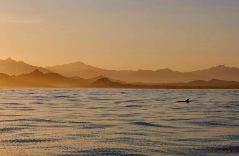 Sunset Cruise in San Jose del Cabo - Included Amenities and Practical Details