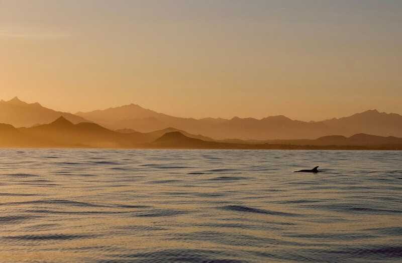 Sunset Cruise in San Jose del Cabo - Why This Cruise Offers Real Value