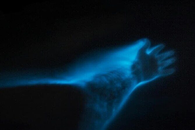 Sunset Cruise Negril Rafting and Luminous Lagoon 3 day Excursion - Who Is This Tour Best For?