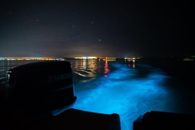 Sunset Cruise Negril Rafting and Luminous Lagoon 3 day Excursion - FAQ