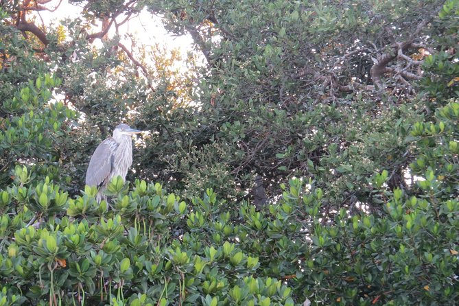 Sunset Cruise over the Gulf of Mexico - FAQ